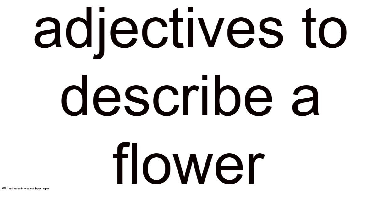 Adjectives To Describe A Flower