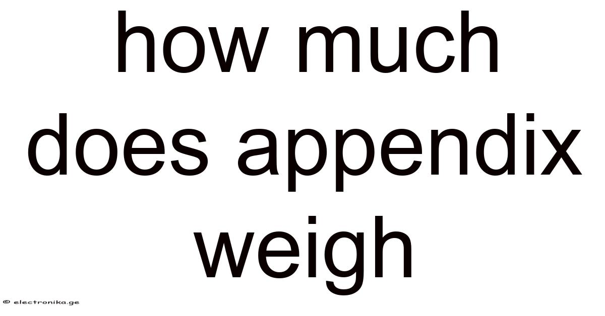 How Much Does Appendix Weigh