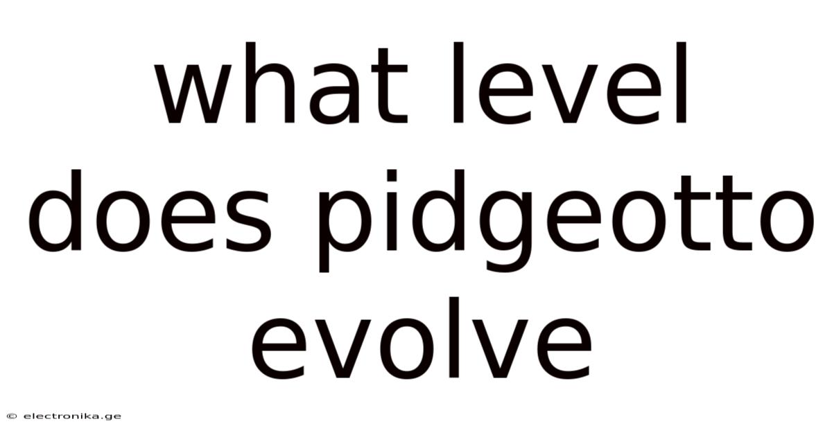What Level Does Pidgeotto Evolve